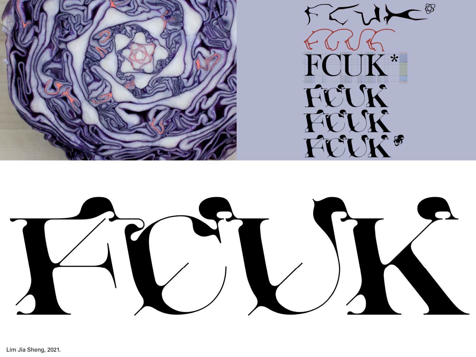 Finding Type: A Novel Typographic Exercise